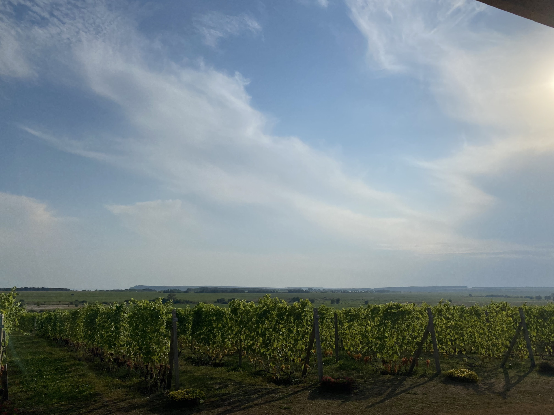 Казань виноградная — Volkswagen Multivan (T6), 2 л, 2018 года ...