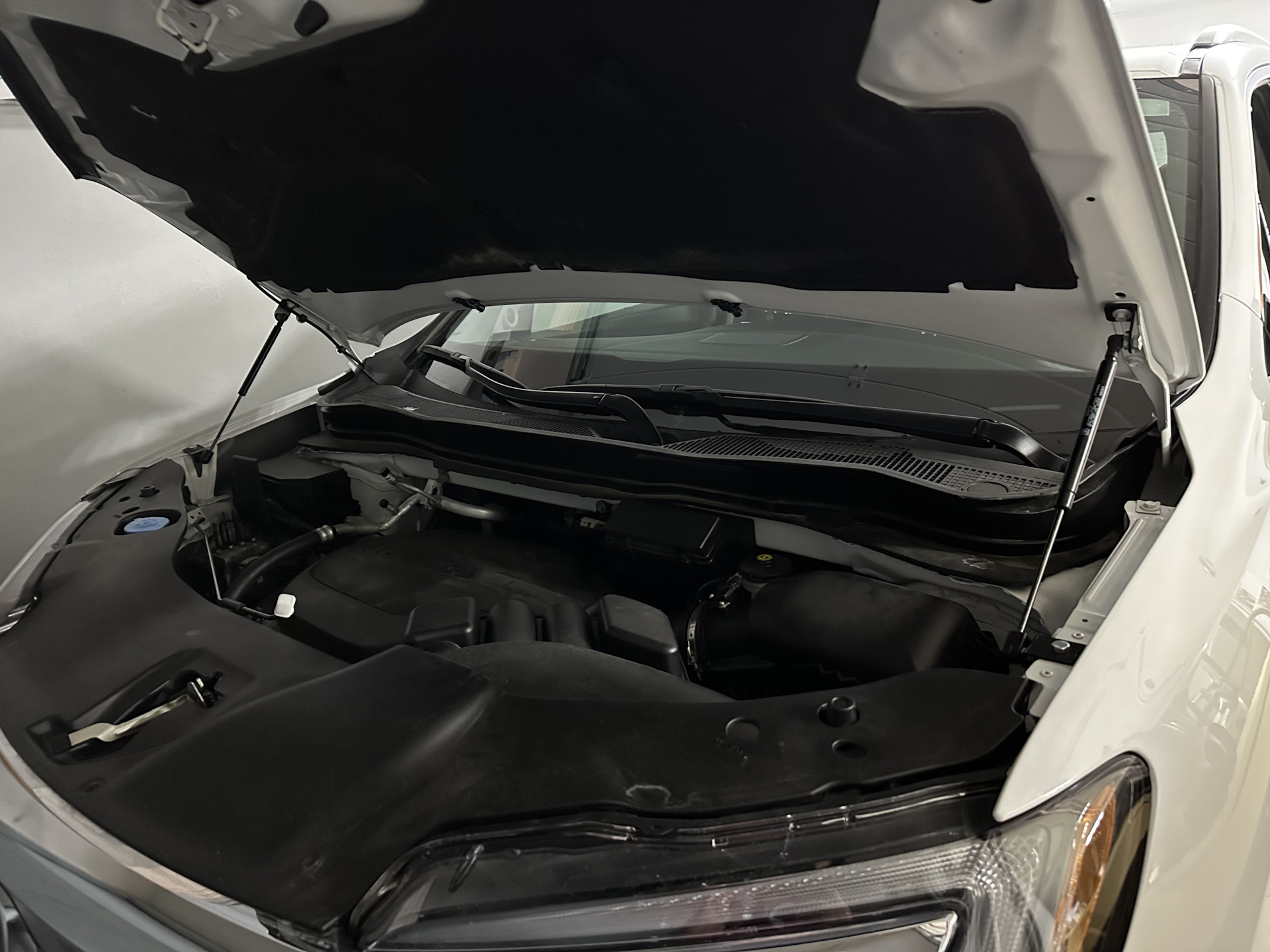 Пневмоупоры капота — Honda Pilot (3G), 3,5 л, 2022 года | аксессуары ...