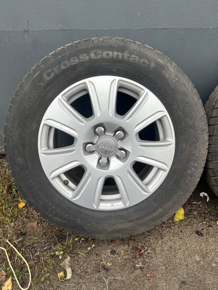 Шины зимние нешипованные Continental 215/65 R16, кованые диски Audi 6 ...