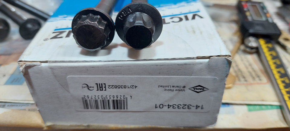 143233401 Комплект болтов головки цилидра VICTOR REINZ | Запчасти на DRIVE2