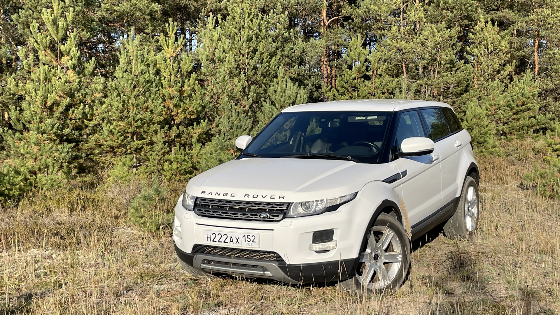 Land Rover Range Rover Evoque 2.2 дизельный 2013 | на DRIVE2