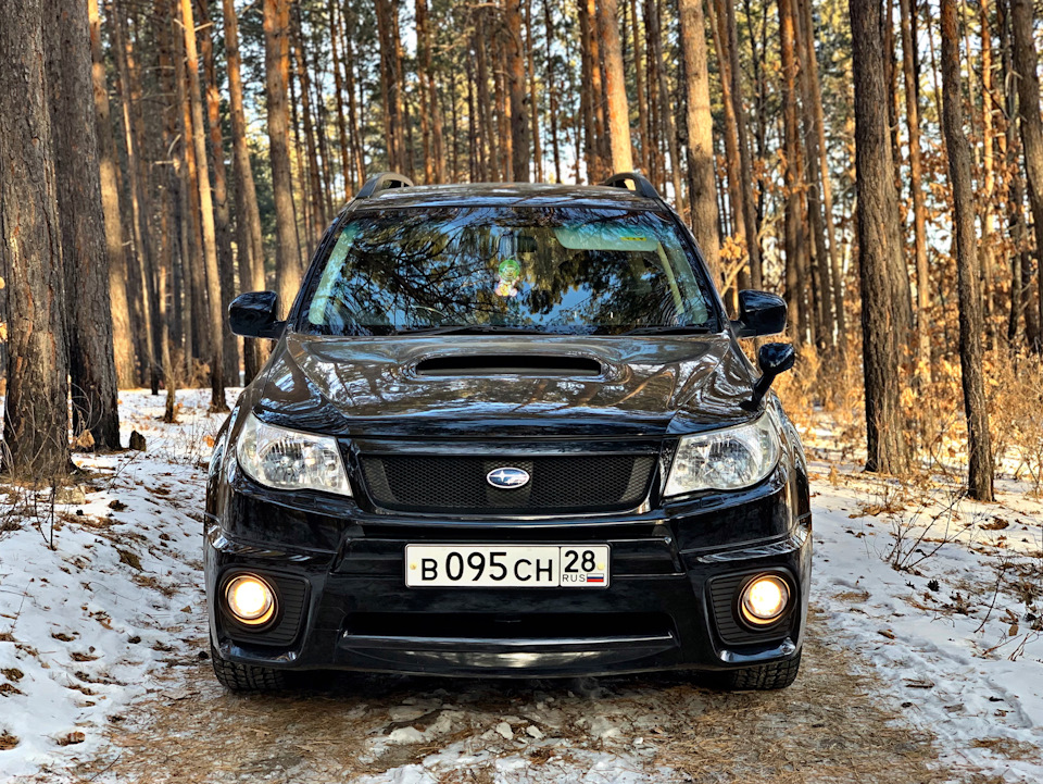 Лесник в лесу :) — Subaru Forester (SH), 2 л, 2009 года | фотография ...