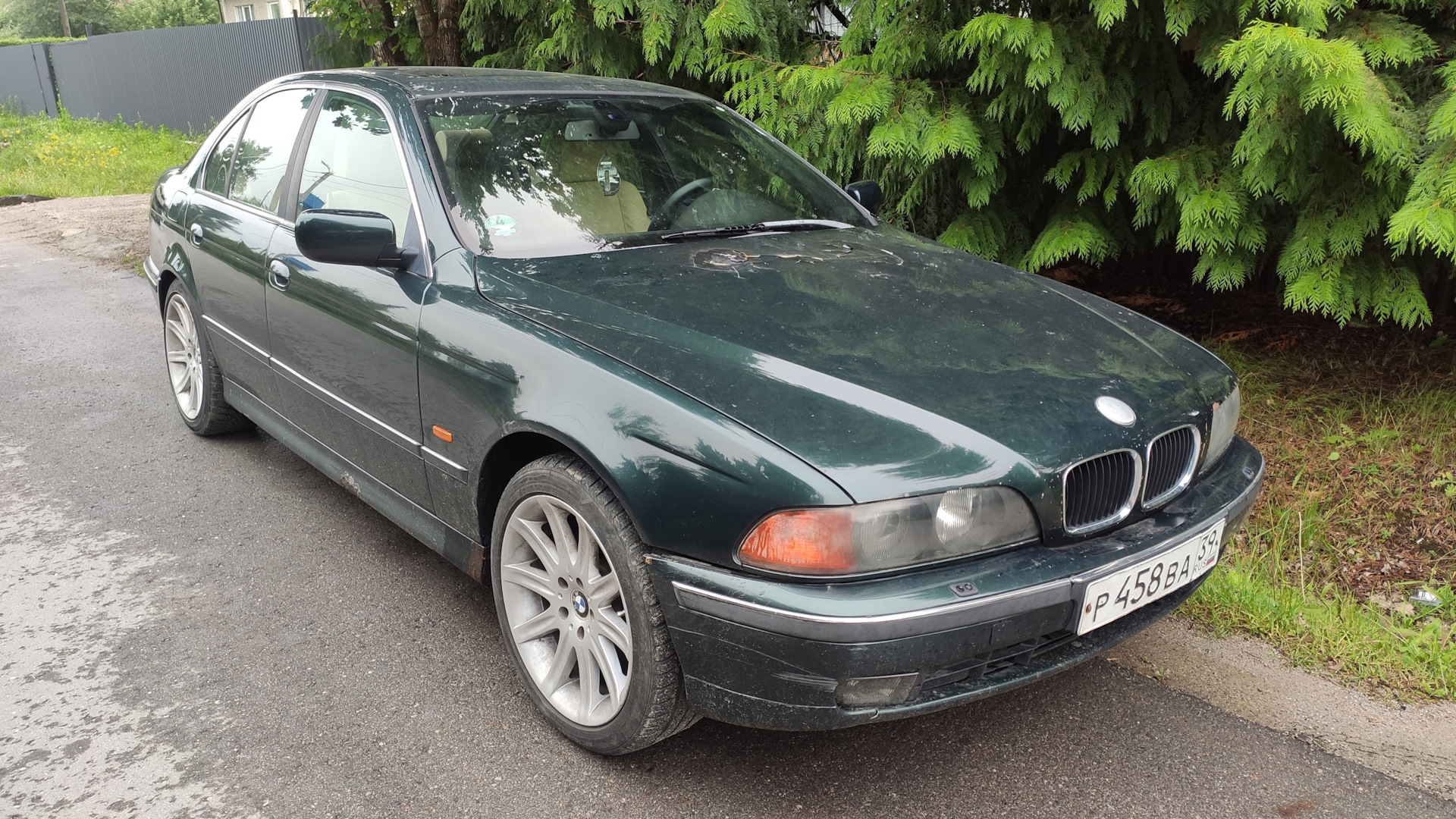 BMW 5 series (E39) 3.0 дизельный 1999 | E39 530D Oxford-green 2 на DRIVE2