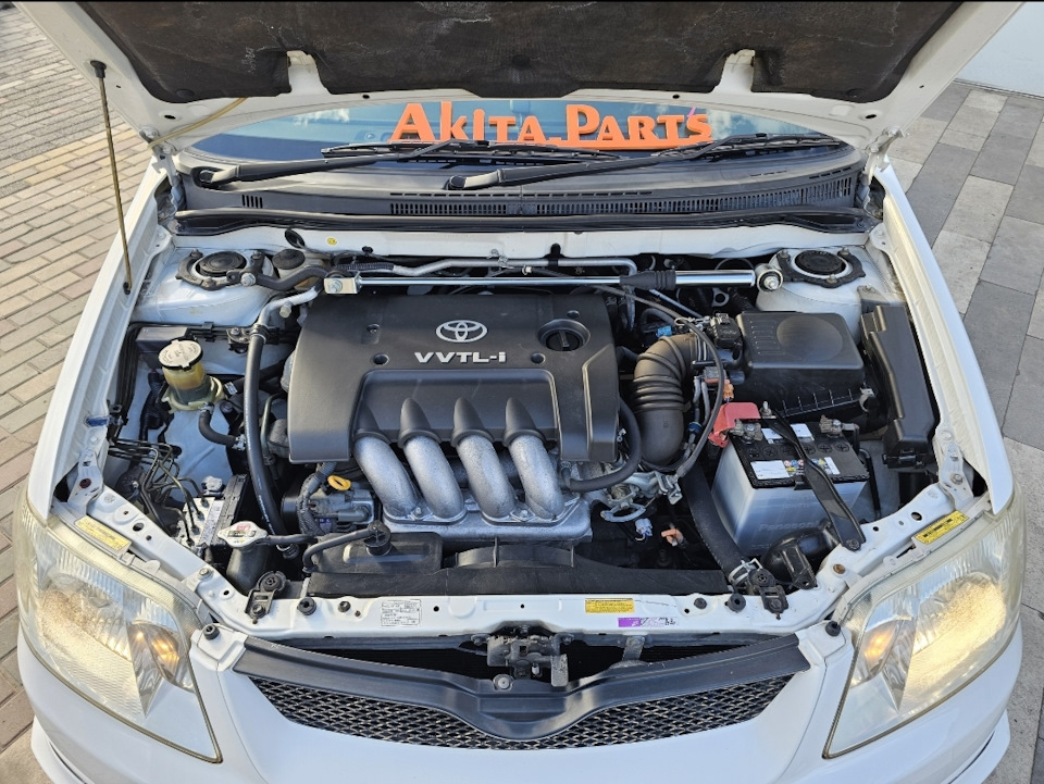 Toyota Corolla Fielder в полный разбор на Toyota Allex, Toyota Corolla Spacio (E121), Toyota ...