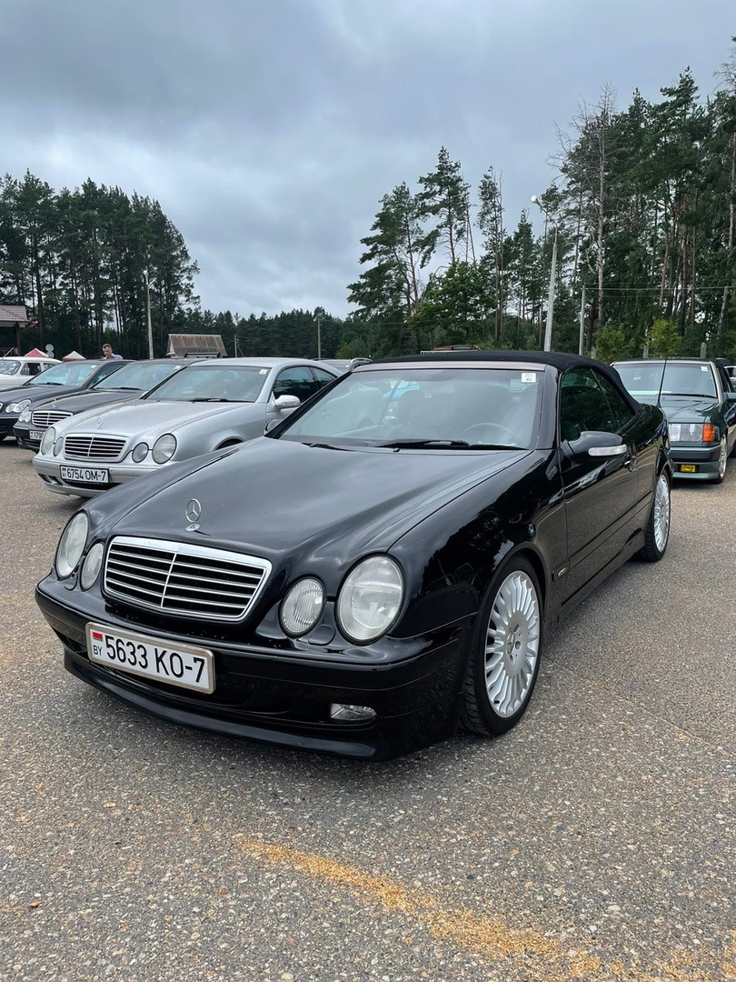 Benz Party 2022 (Лида) — Mercedes-Benz CLK (W208), 3,2 л., 2001 года | встреча | DRIVE2