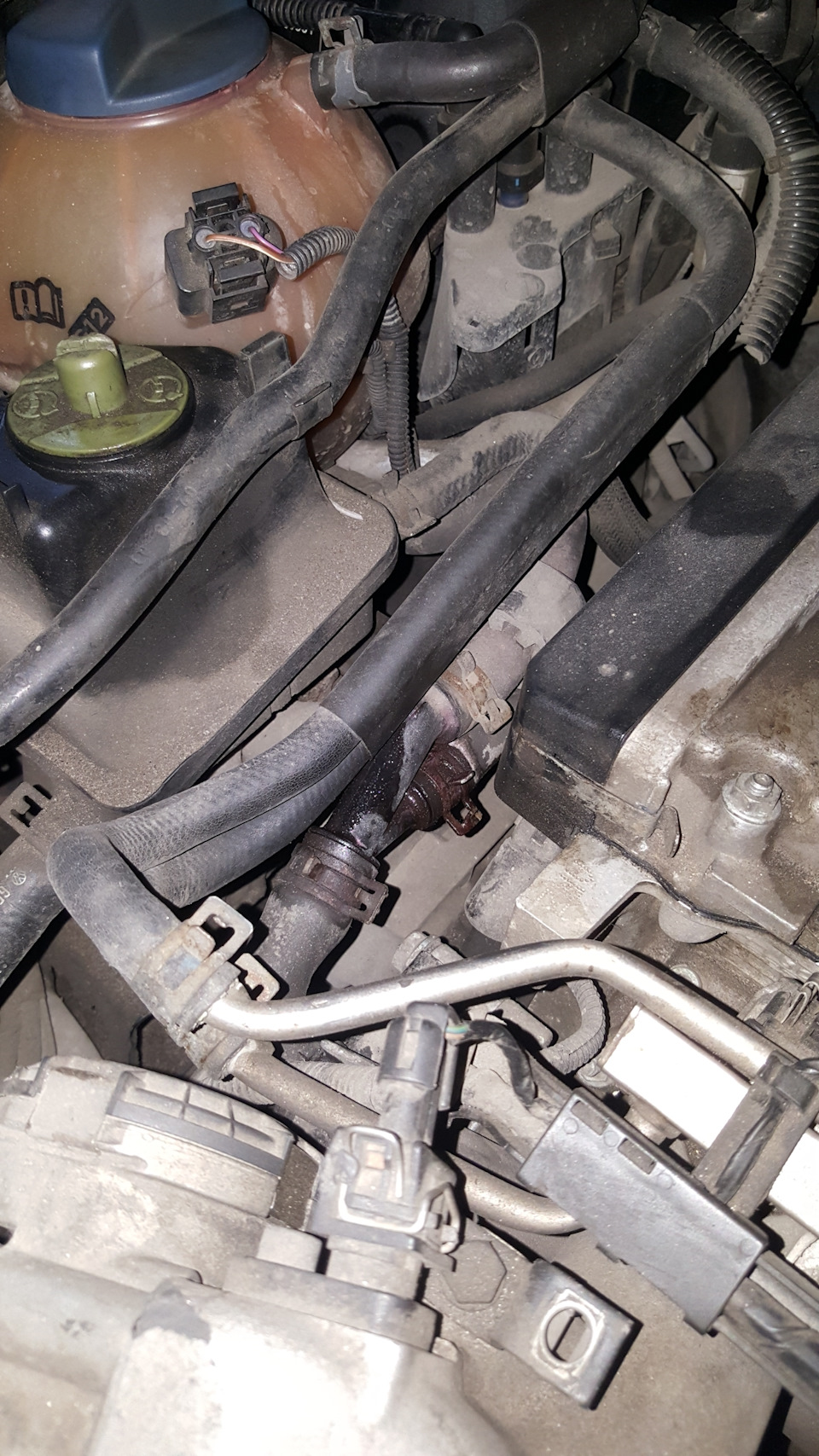 Антифриз, куда ты? — Audi A3 (8L), 1,8 л, 2000 года | поломка | DRIVE2