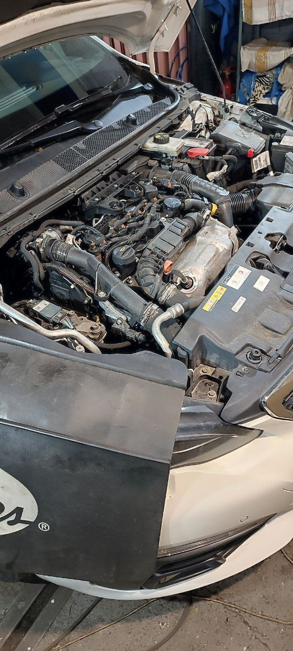 Переход на усиленный комплект 8мм (9830580480) — Peugeot 308 SW (2G), 1 ...