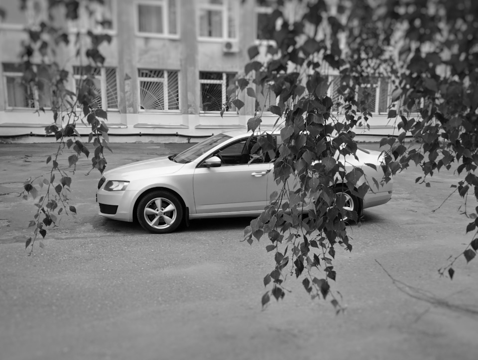 #12: Передние амортизаторы — Skoda Octavia A7 Mk3, 1,2 л, 2013 года ...