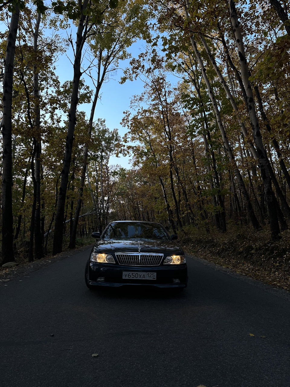 Сделал с машиной все что хотел — Nissan Laurel (C35), 2 л, 2001 года ...