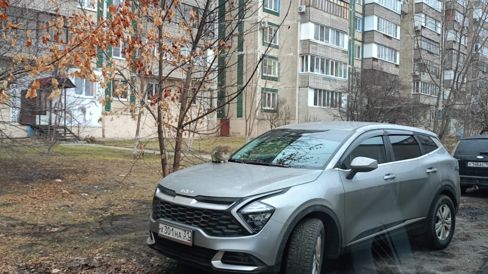 KIA Sportage (5G) 2.0 бензиновый 2022 | на DRIVE2