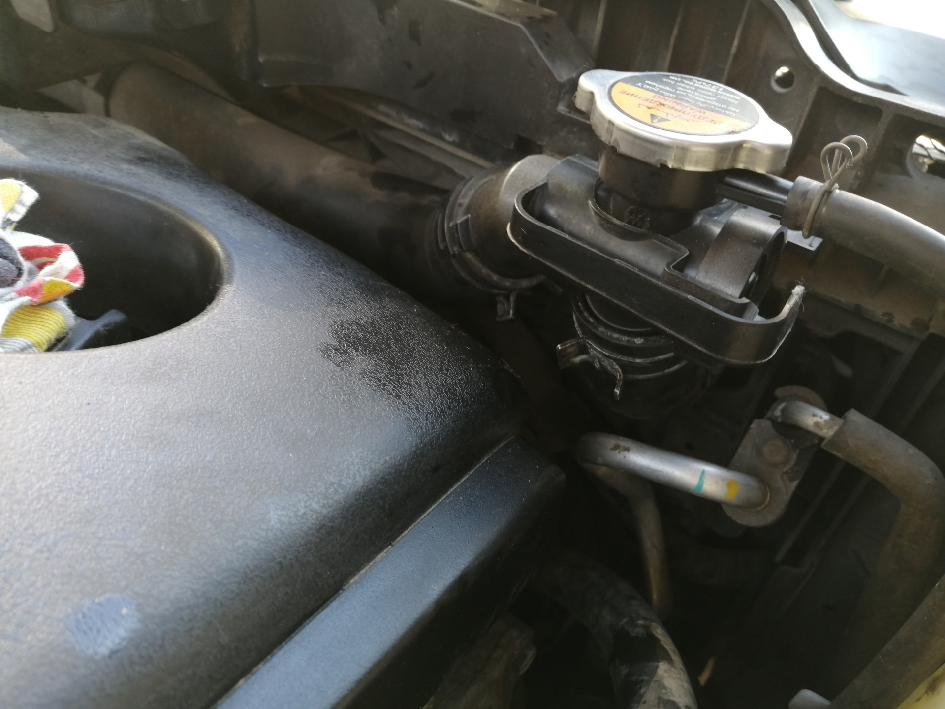 Горловина радиатора — Nissan Murano II, 3,5 л, 2011 года | запчасти ...