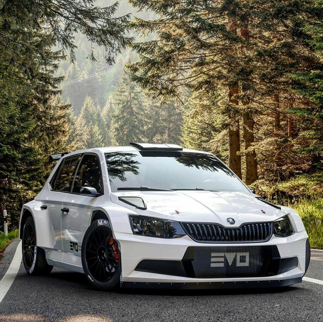 Знакомство со зверьком Skoda R5 — Skoda Rapid (1G), 1,6 л, 2017 года ...