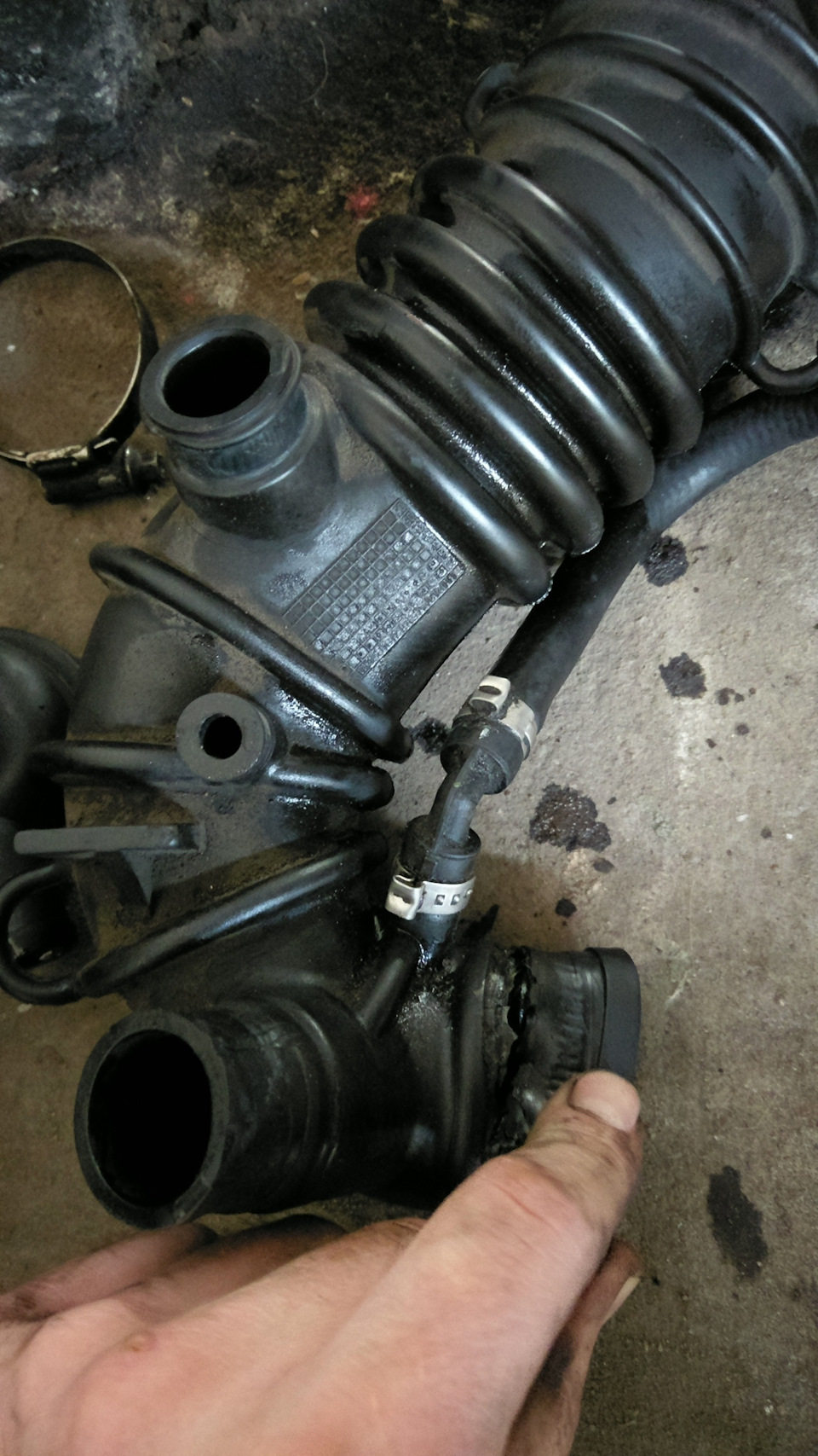 Гусеница 06B133356AH и Грибок 06A129101D — Audi A4 (B6), 1,8 л, 2002 ...