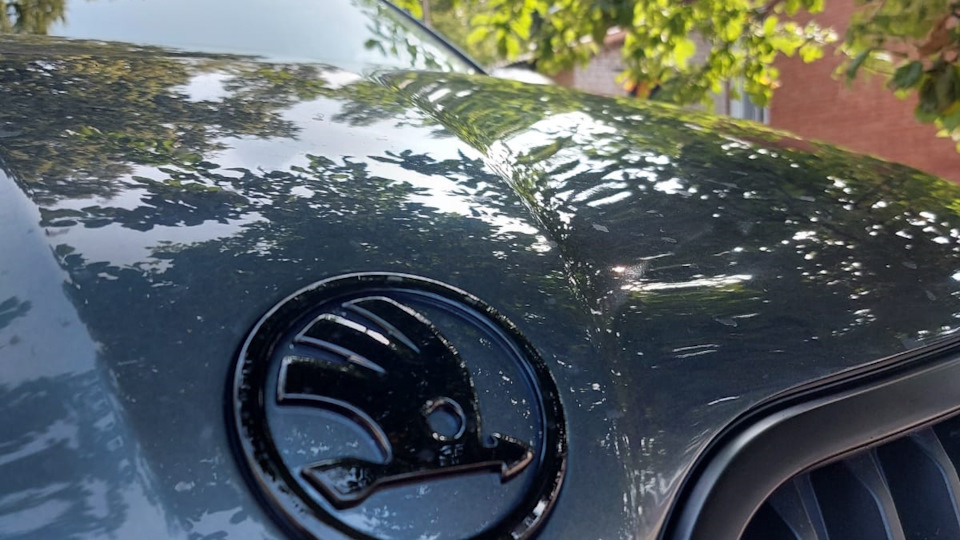 Нужны пины n90684505, N10319005 — Skoda Rapid (1G), 1,4 л, 2015 года ...