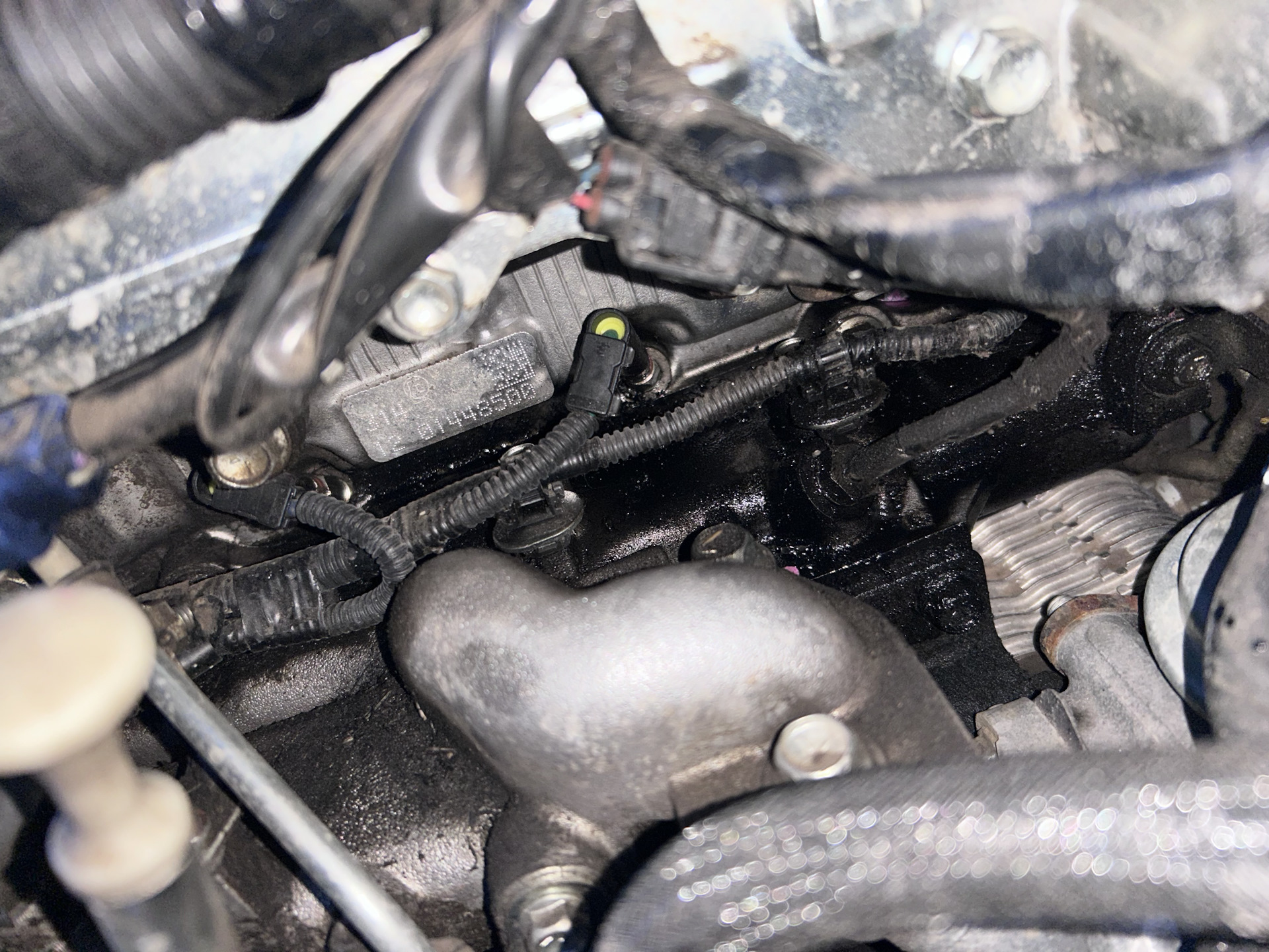 Вот и масло ( — Mitsubishi L200 (5G), 2,4 л, 2019 года | поломка | DRIVE2