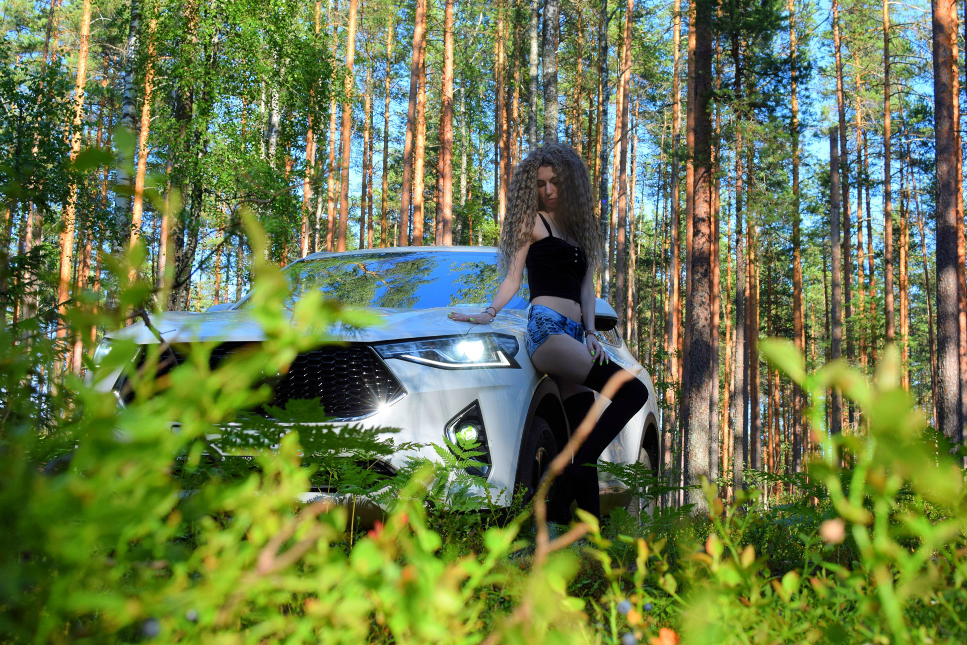 Лесная фотосессия 2 — Haval F7x, 1,5 л, 2021 года | фотография | DRIVE2