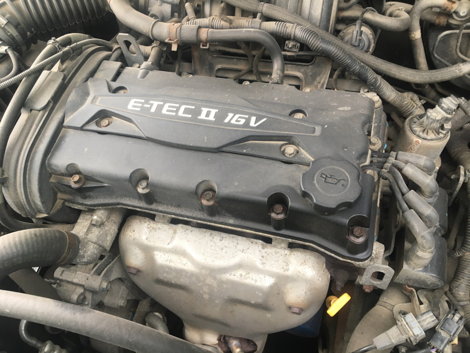 Течь клапанной крышки двигателя — Chevrolet Cruze Hatchback, 1,6 л ...