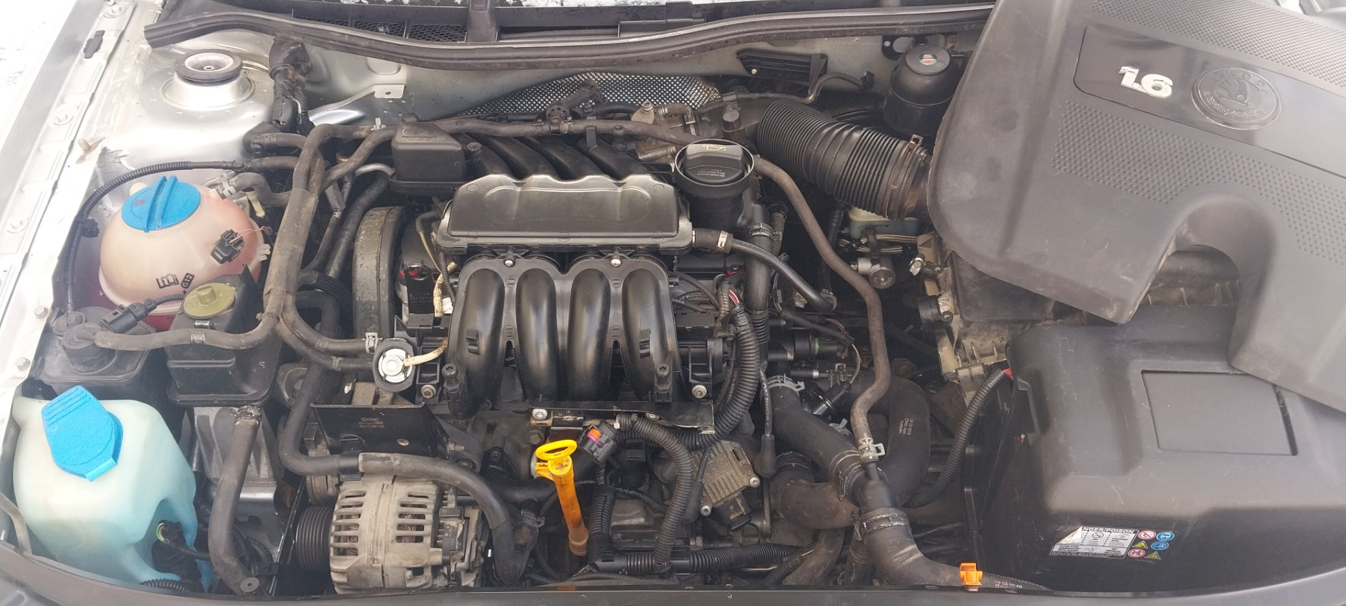 Ремонт двигателя, устранение масложора — Skoda Octavia A4 Mk1, 1,6 л ...