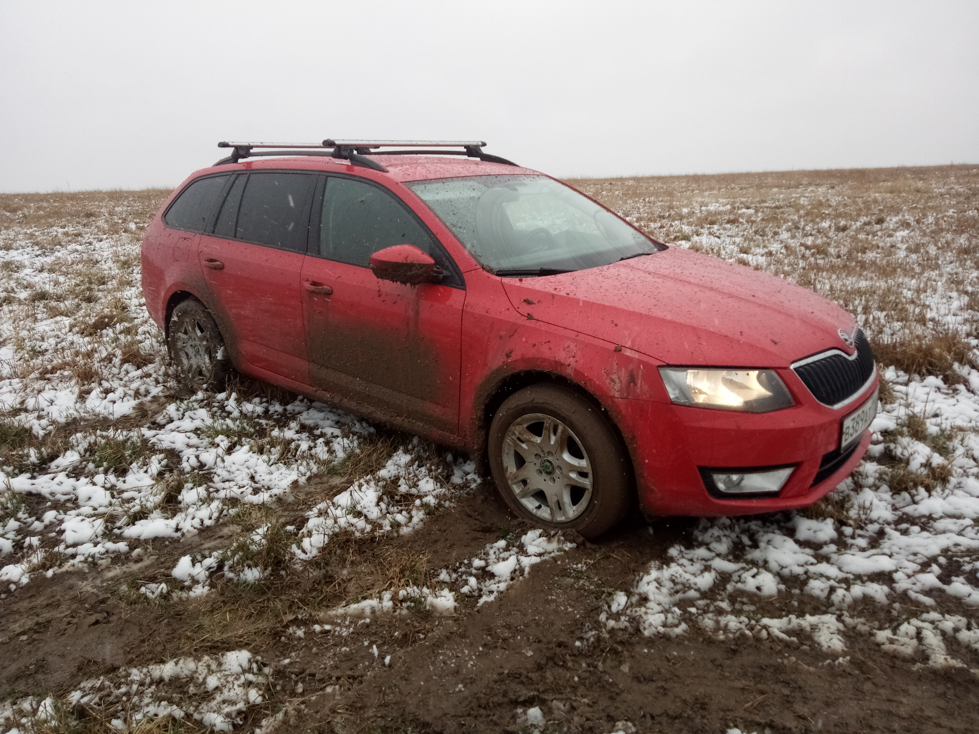 как мы поле покоряли — Skoda Octavia Combi A7 Mk3, 1,6 л, 2014 года | фотография | DRIVE2