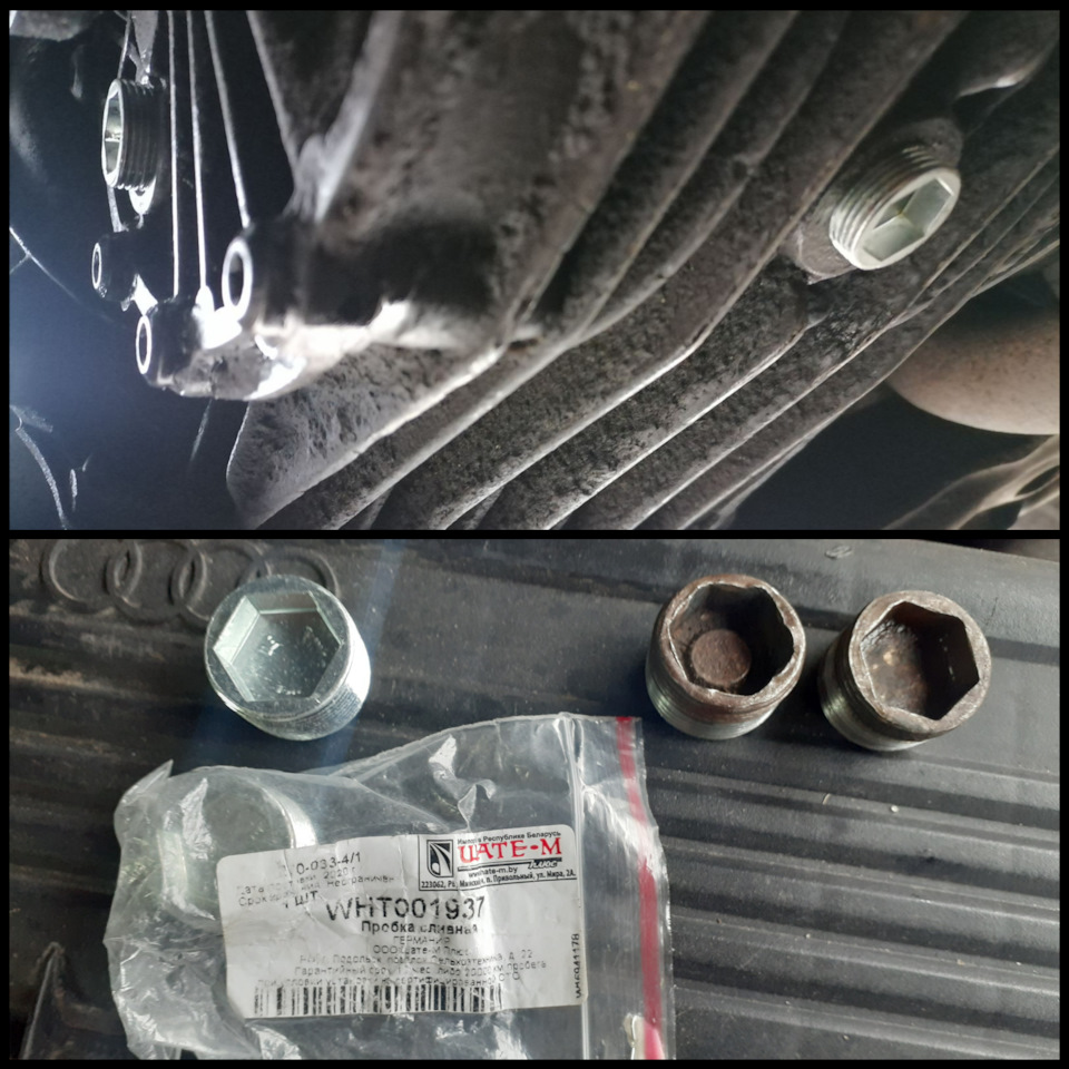 WHT001937 Пробка кпп болт сливной VAG | Запчасти на DRIVE2