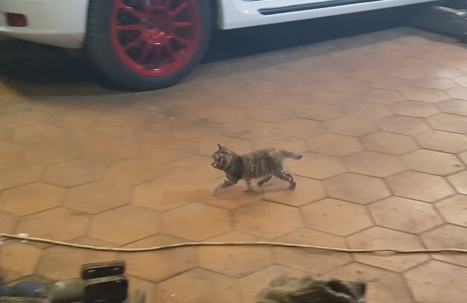 Трёхслойные фильтры салона для Volvo — RAF Filter на DRIVE2