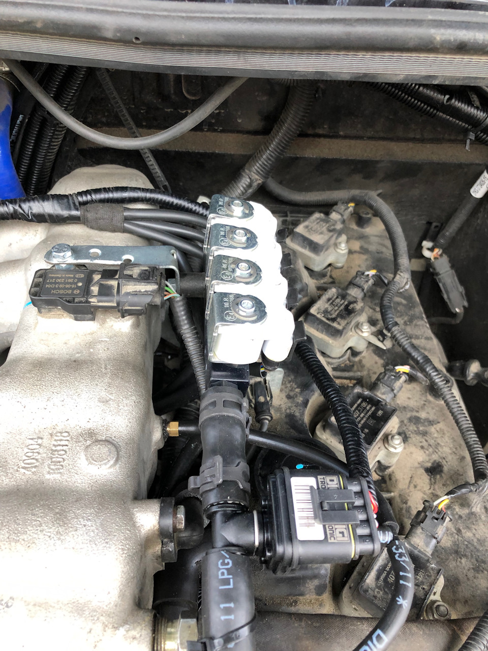 251230 Прокладка, корпус маслянного фильтра ELRING | Запчасти на DRIVE2