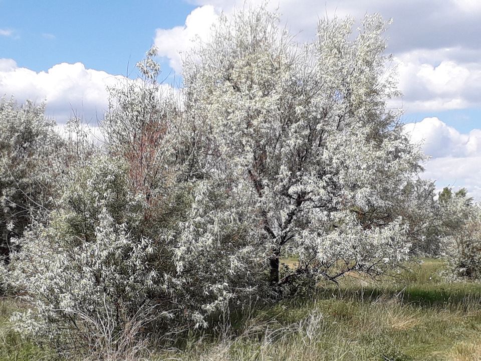 Rebuild:Darton-PowerDivision-Cosworth: — Subaru WRX STI (VA), 2,5 л ...