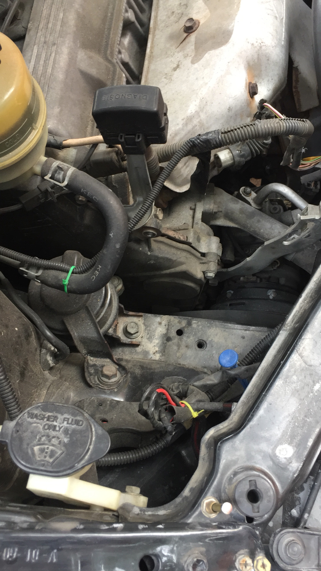 3D ColorMFD — SEAT Leon (Mk I), 1,9 л, 2003 года | стайлинг | DRIVE2