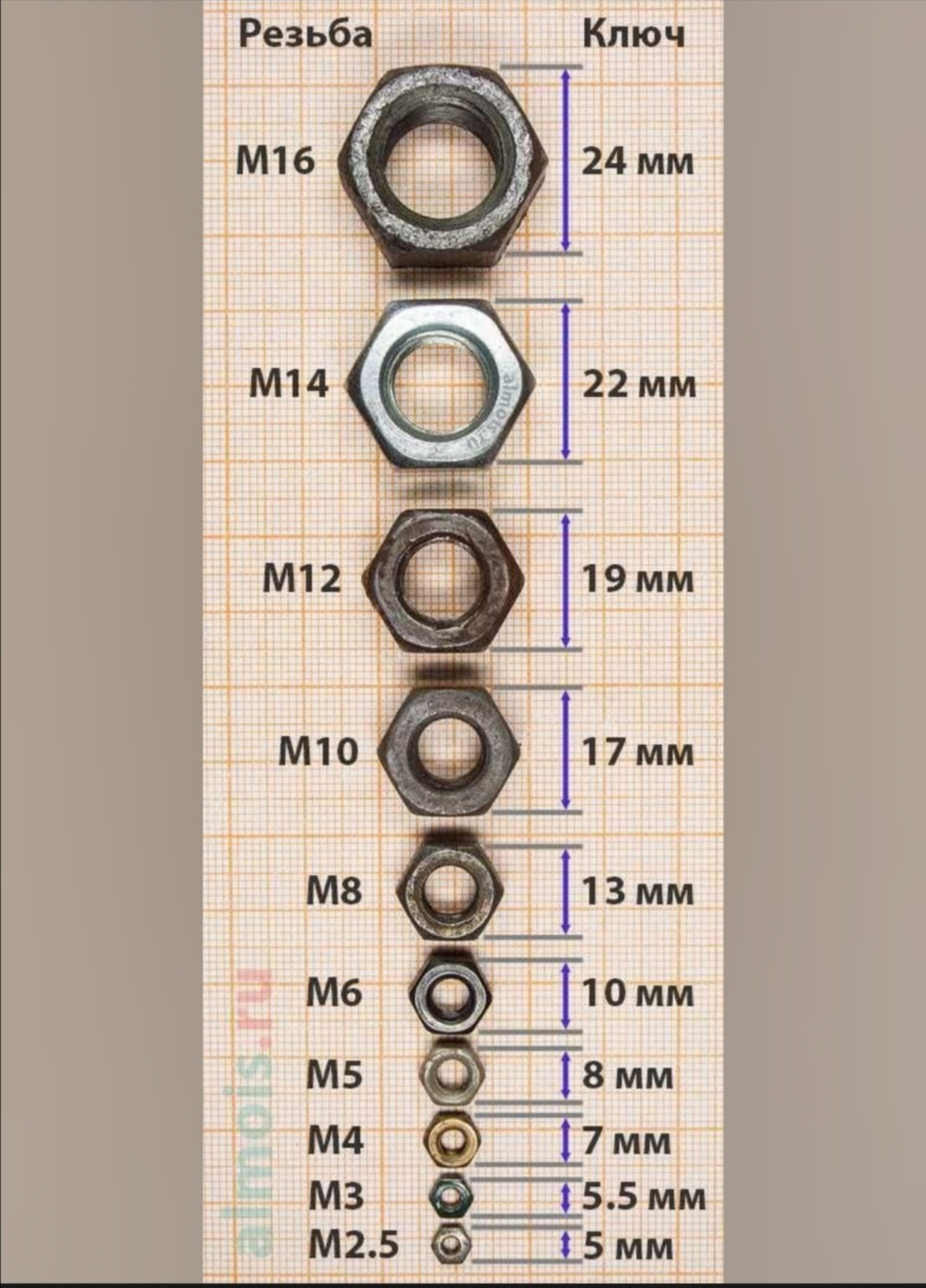 Поликлиновой ремень + натяжной ролик = サービス — Nissan Murano I, 3,5 л ...