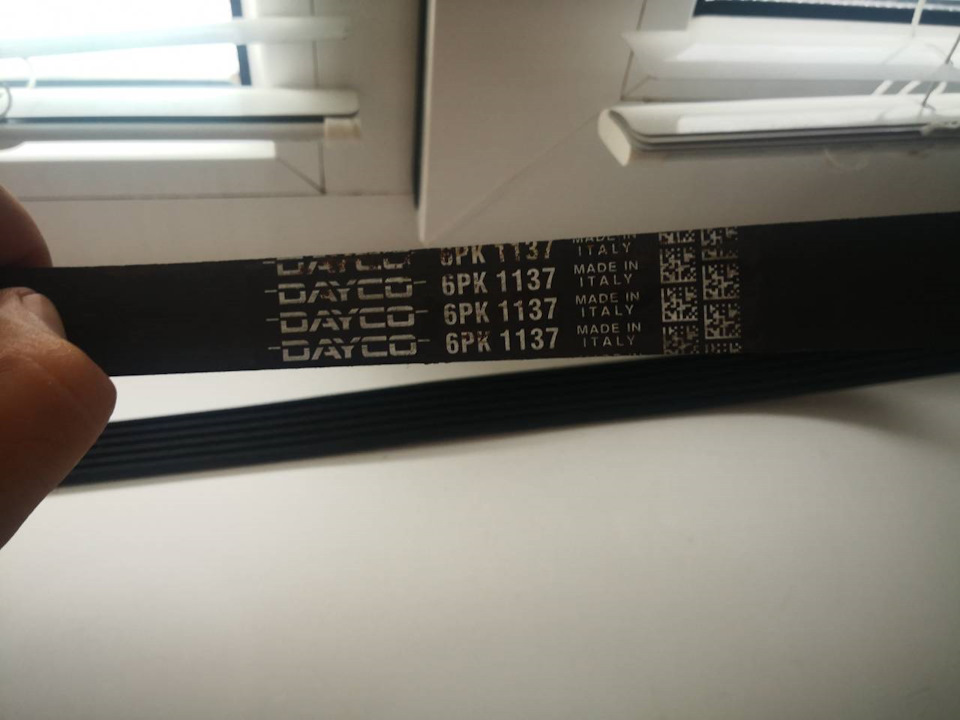 Dayco 6PK1137 Poly Rib Belt NEW — Volvo 480, 1,7 л, 1998 года ...