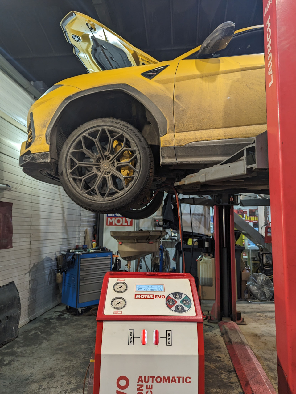 Замена масла в АКПП Lamborghini Urus ZF 8hp95 в СПб — Motul Team на DRIVE2