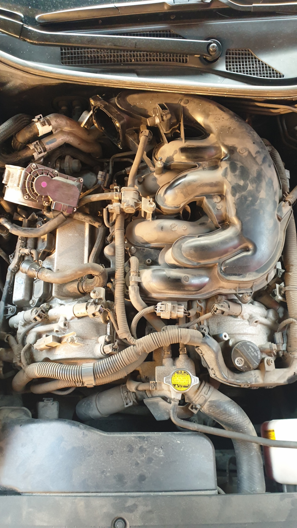 Чистка впуска, маслопомойка, прокладки. — Lexus GS (S190), 3,5 л, 2008 ...