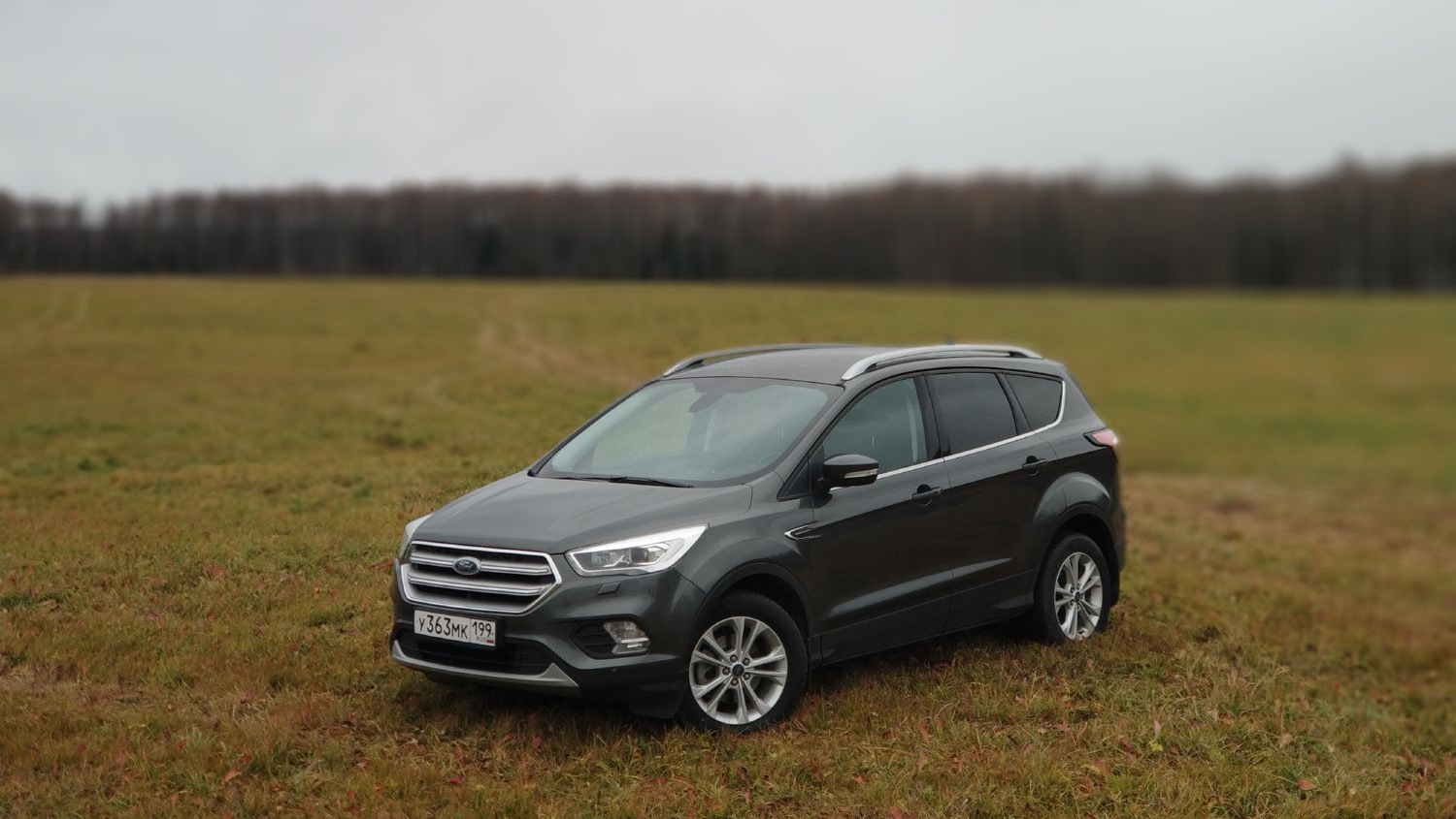 Ford Kuga (2G) 2.5 бензиновый 2017 | на DRIVE2