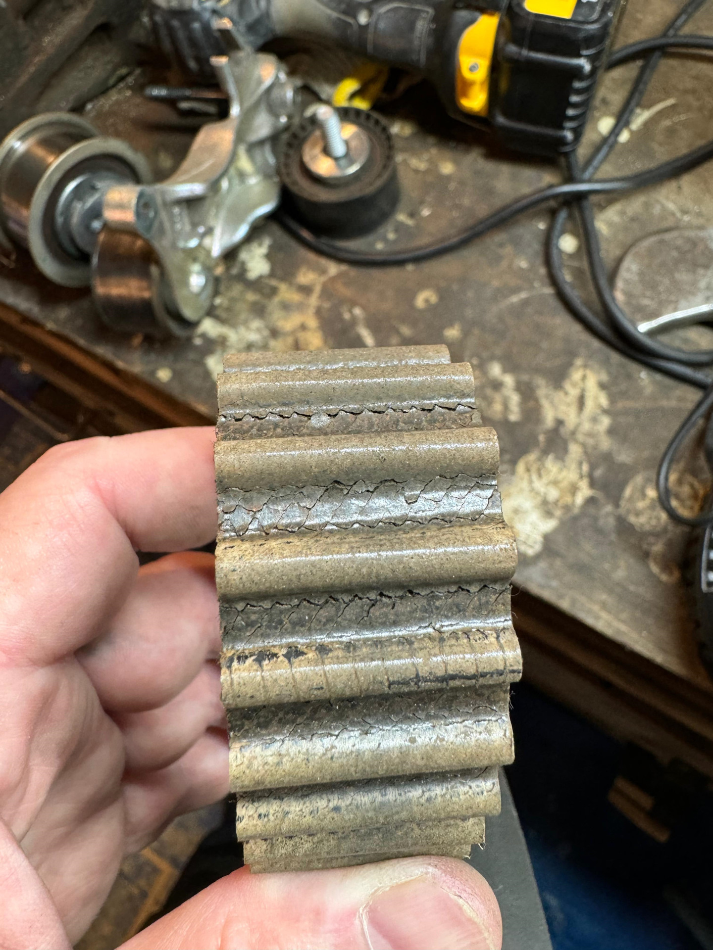 Замена ремня ГРМ и приводного ремня на D4. — Volvo XC40, 2 л, 2018 года ...