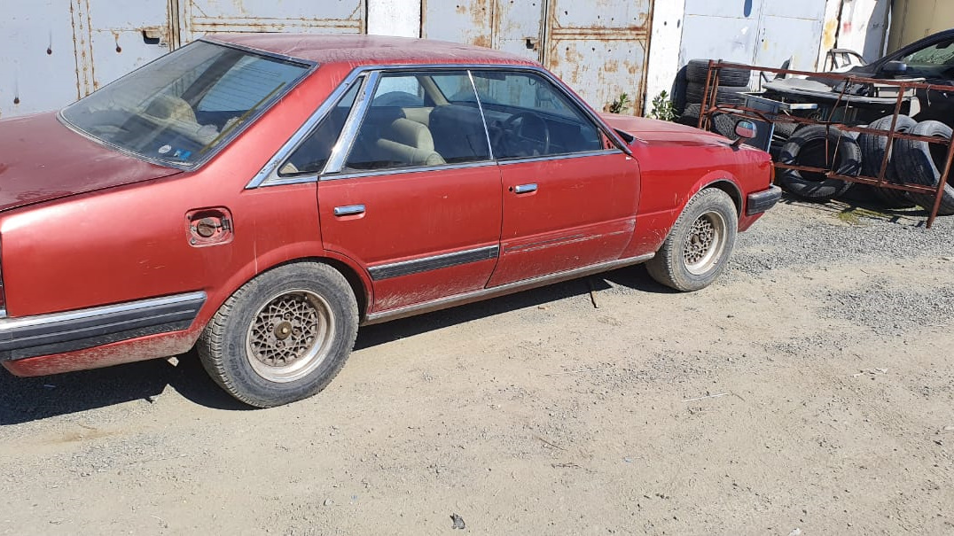 Nissan Laurel (C31) 2.0 бензиновый 1981 | на DRIVE2