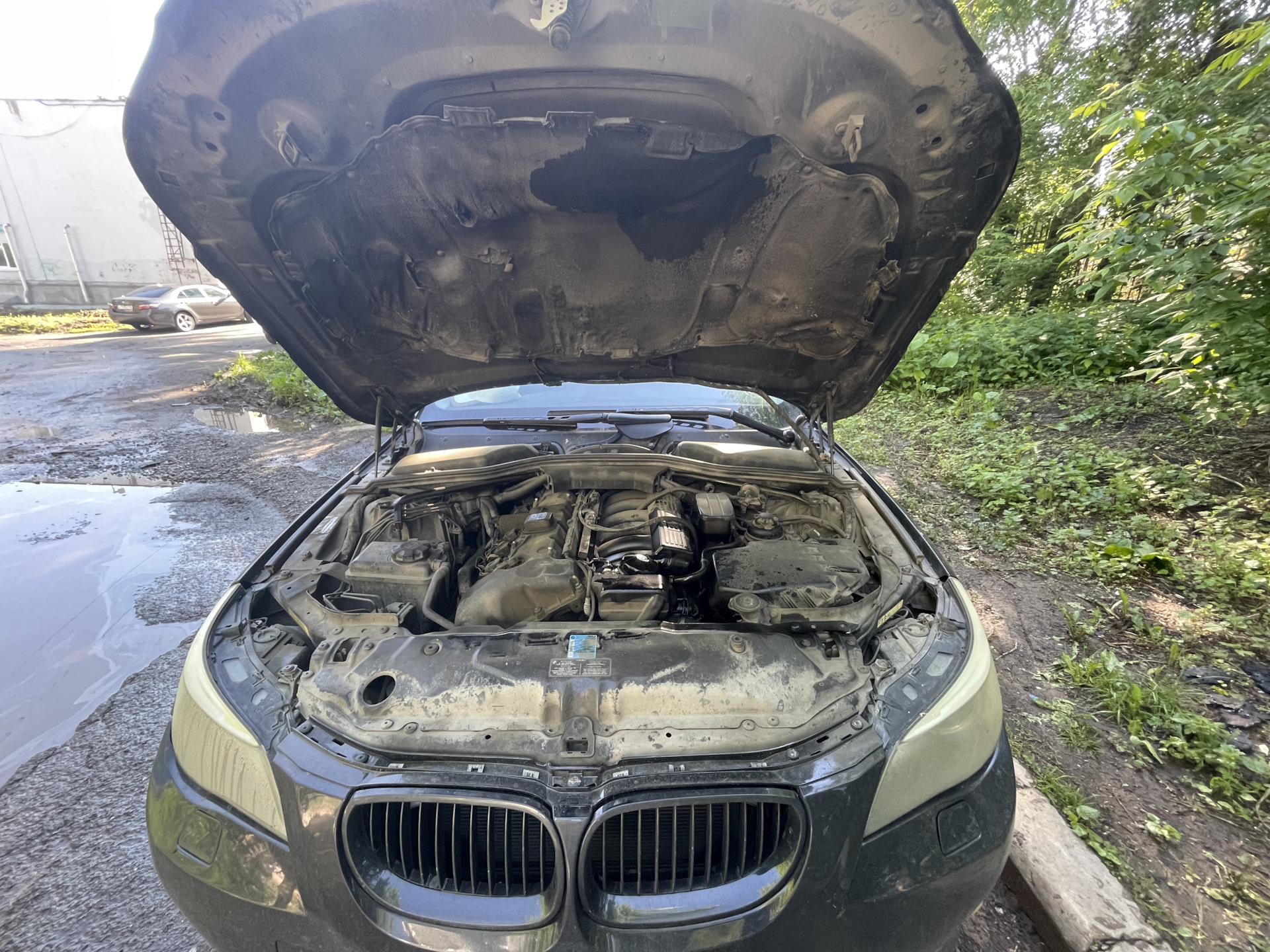 Не доброе утро 🥲 — BMW 5 series (E60), 2,5 л, 2006 года | просто так | DRIVE2