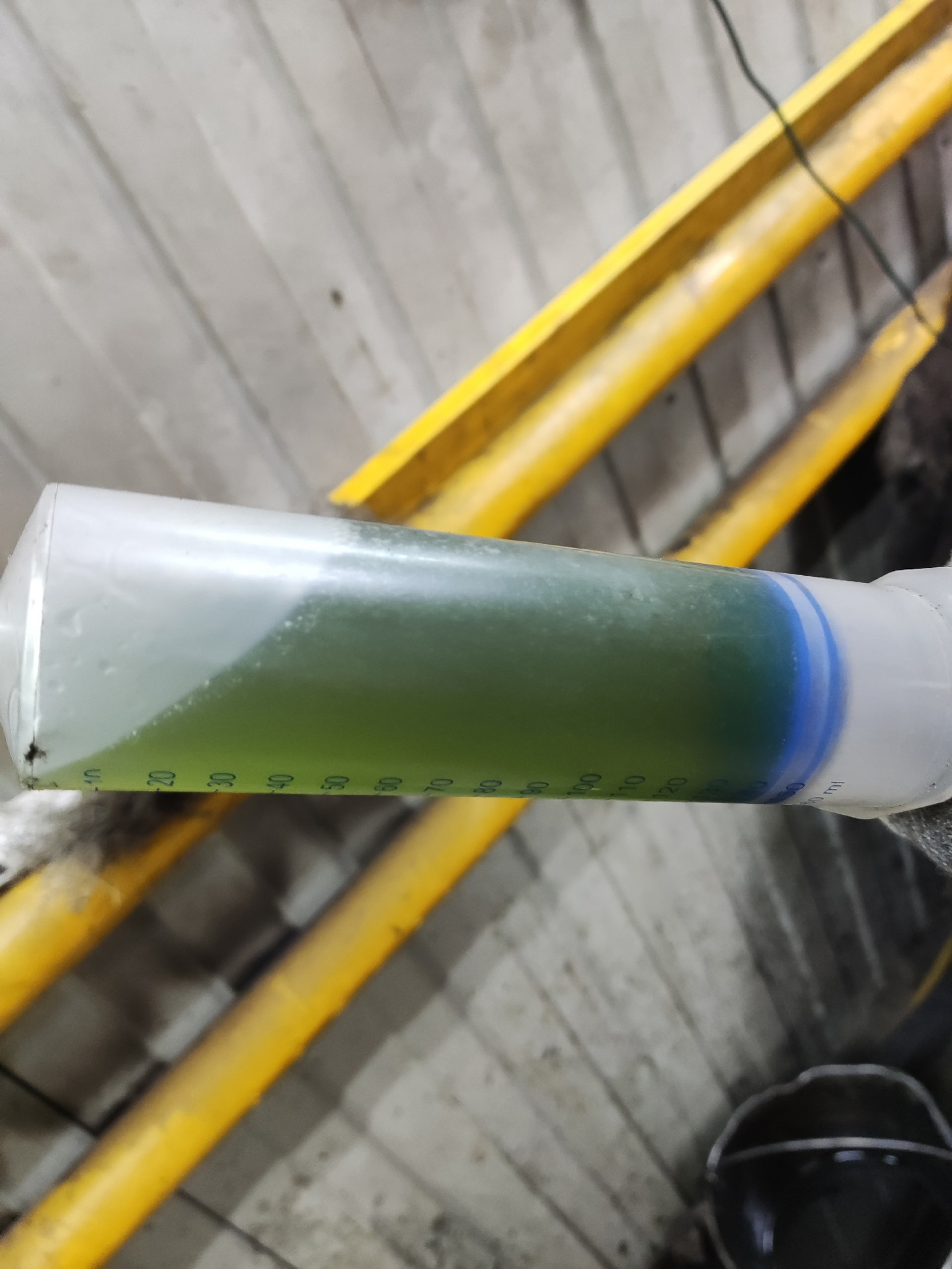 Тормозная жидкость и переборка суппорта🔧 — Ford Focus Hatchback III, 1 ...