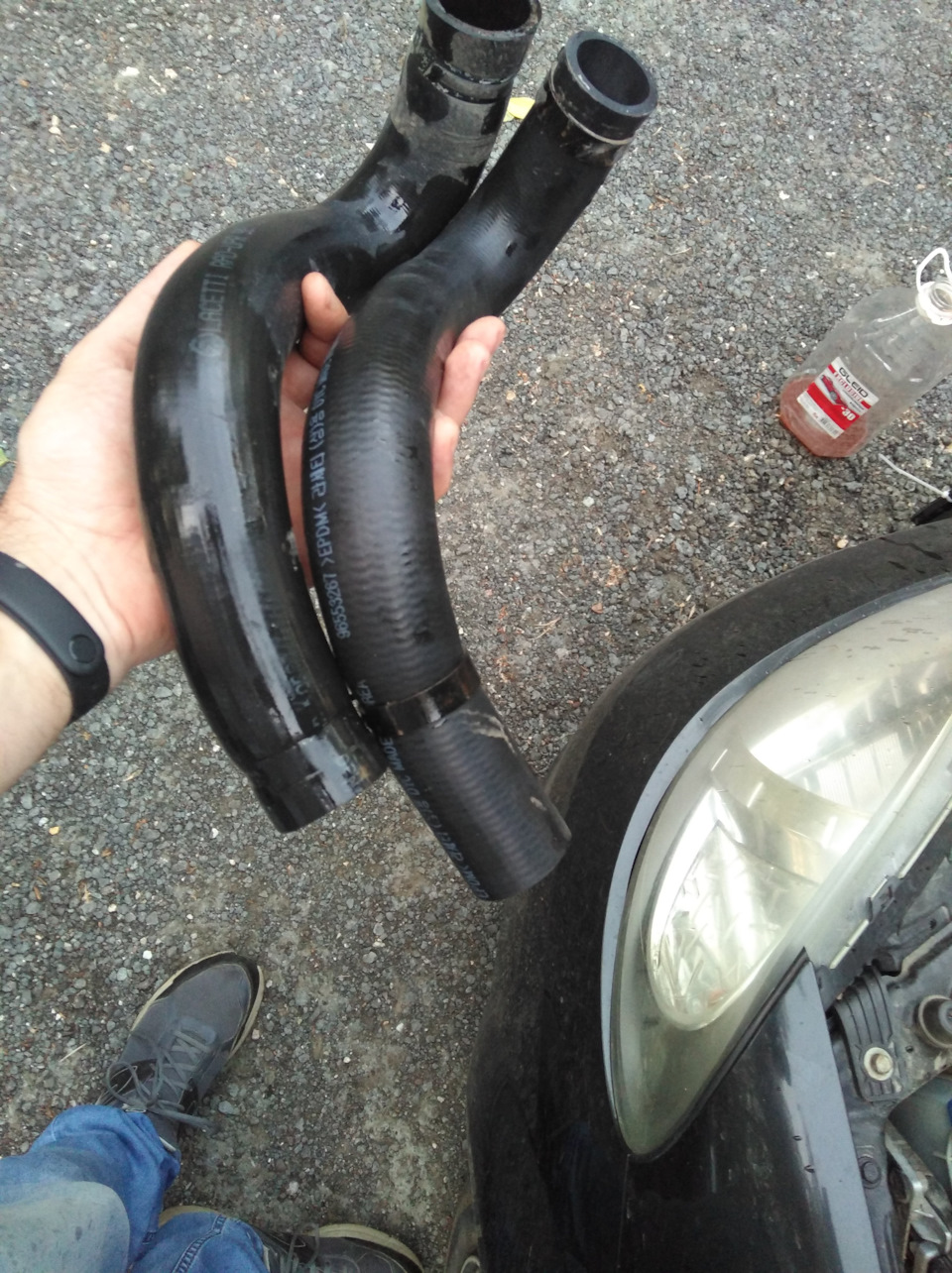 96553267 Патрубок радиатора верхний GM | Запчасти на DRIVE2