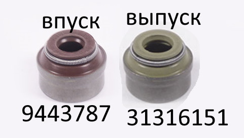 31316151 Уплотнительное кольцо, стержень клапана Volvo | Запчасти на DRIVE2