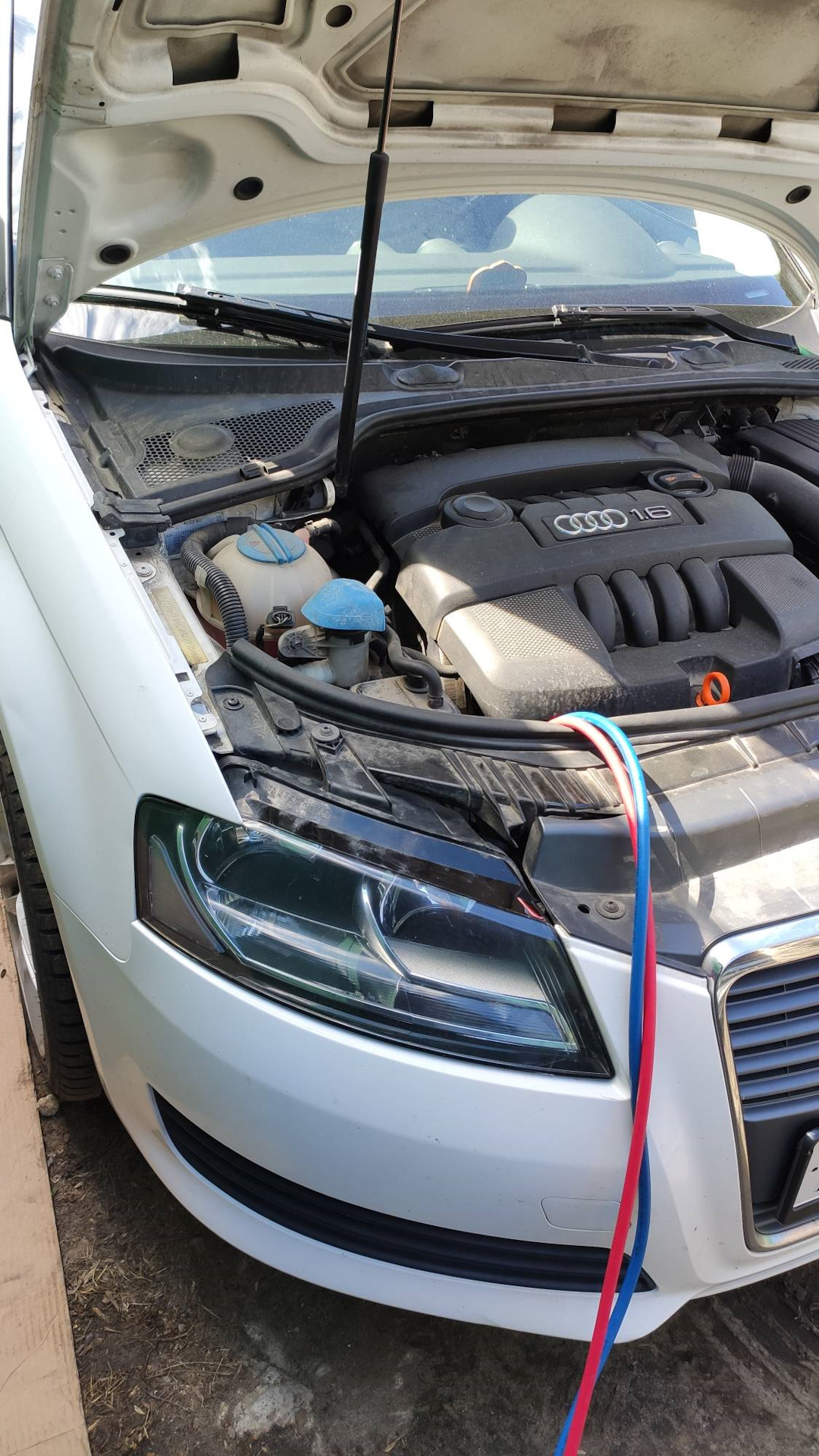 Audi A3 промывка форсунок/инжектора — Промывка форсунок/инжектора на DRIVE2