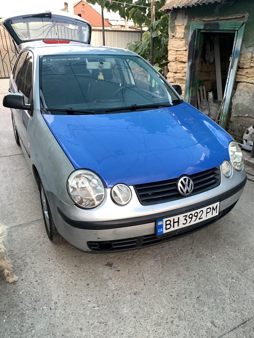Новый капот — Volkswagen Polo Mk4, 1,4 л., 2003 года | запчасти | DRIVE2