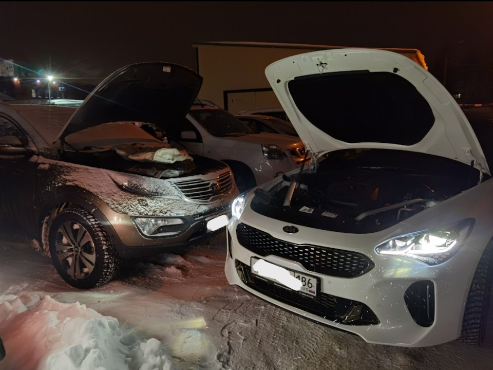 Новый АКБ Тюмень Премиум для спортажа — KIA Sportage (3G), 2 л, 2012 ...
