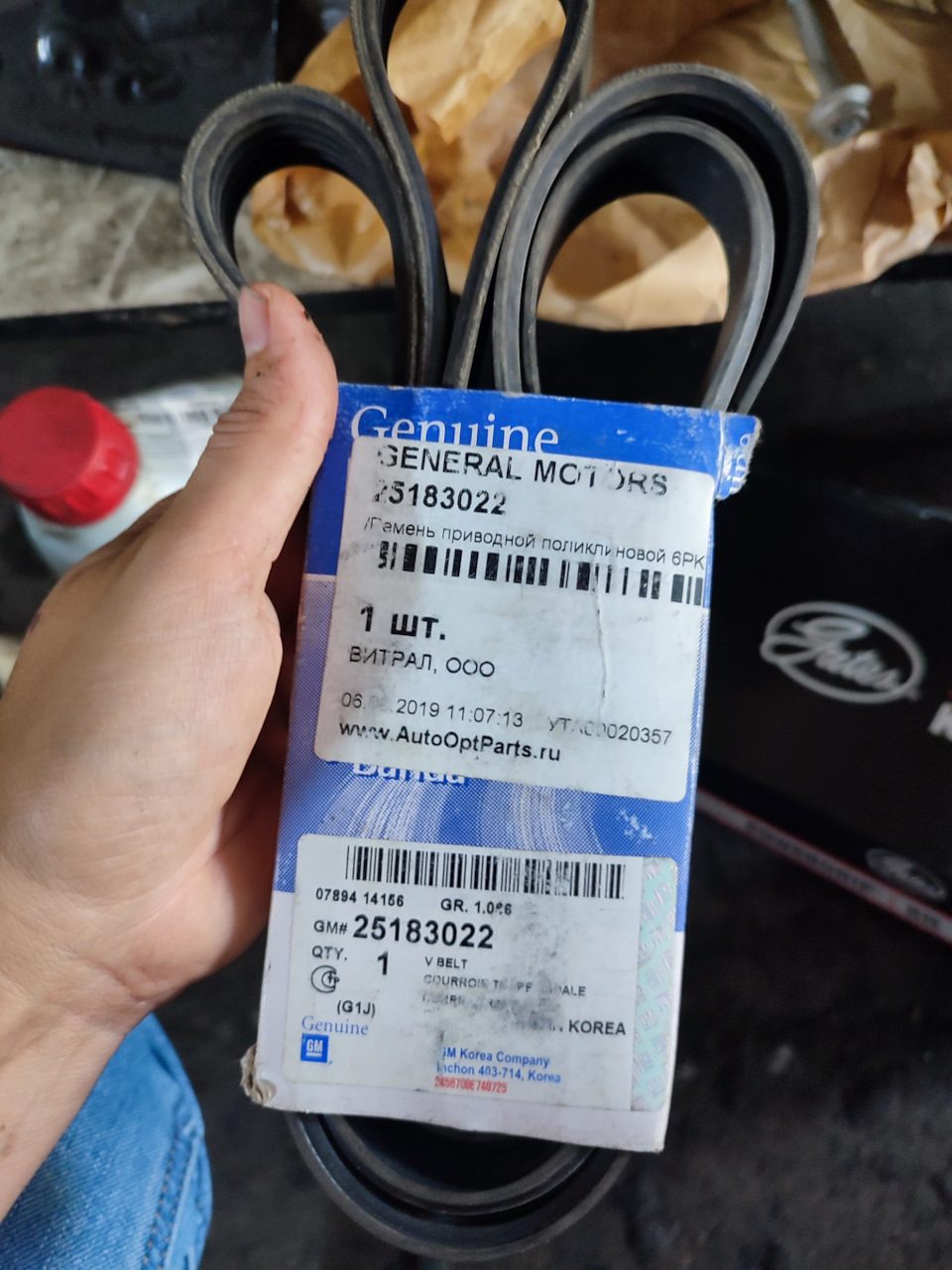 25183022 Ремень приводной GM | Запчасти на DRIVE2