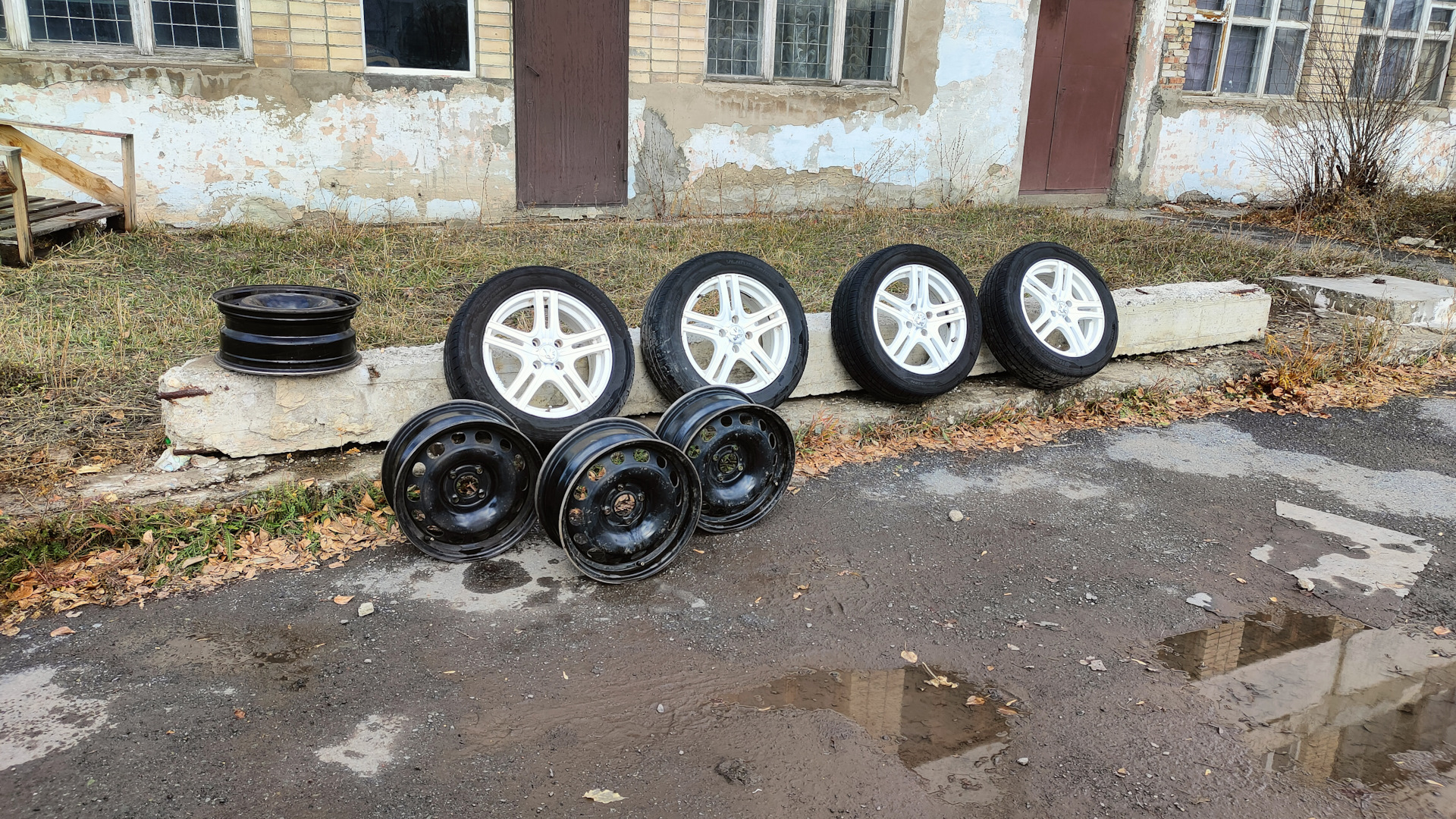 Зимняя резина + литые диски 205/60 R16 — Peugeot 308 SW (1G), 1,6 л ...