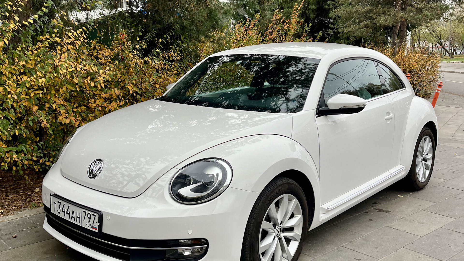 Volkswagen Beetle (A5) 1.2 бензиновый 2013 | flower power на DRIVE2
