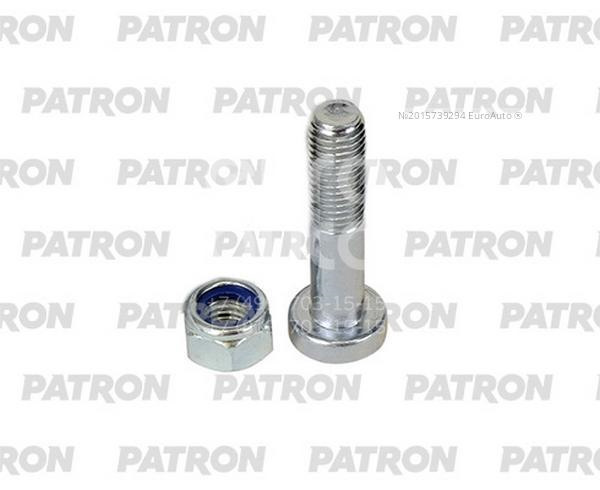 PBLT075 Болт подвески рычага FORD MONDEO I 93- MONDEO II (BAP) 96 ...