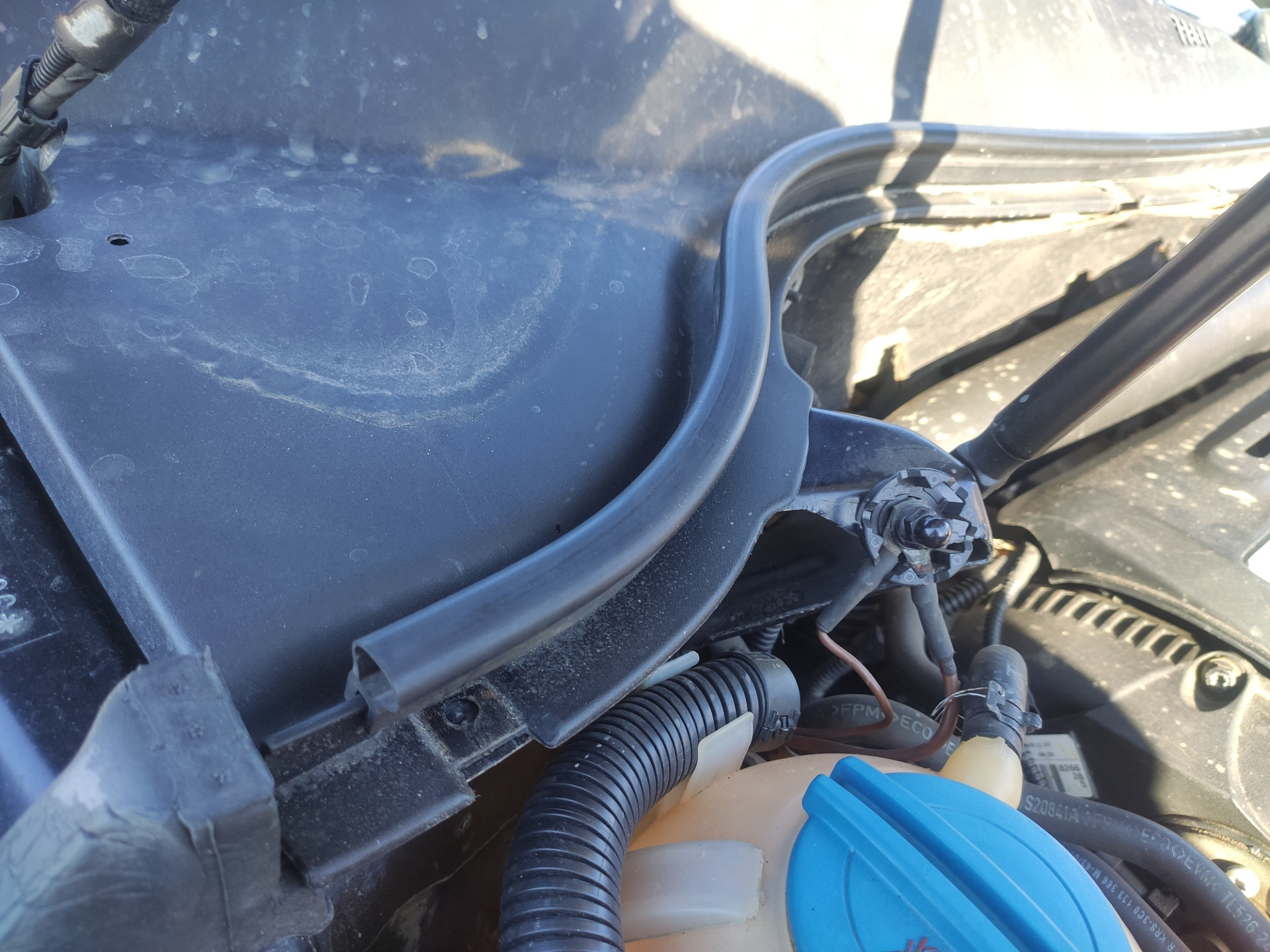 Датчик загрязнения воздуха G-238 (ошибка 01592) — Volkswagen Passat B6 ...