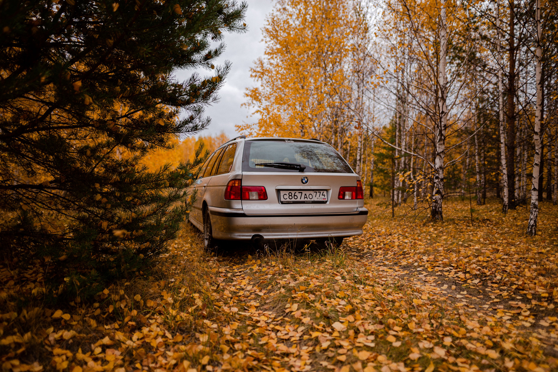 BMW e39 Touring Autumn — BMW 5 series Touring (E39), 2,2 л, 2001 года ...