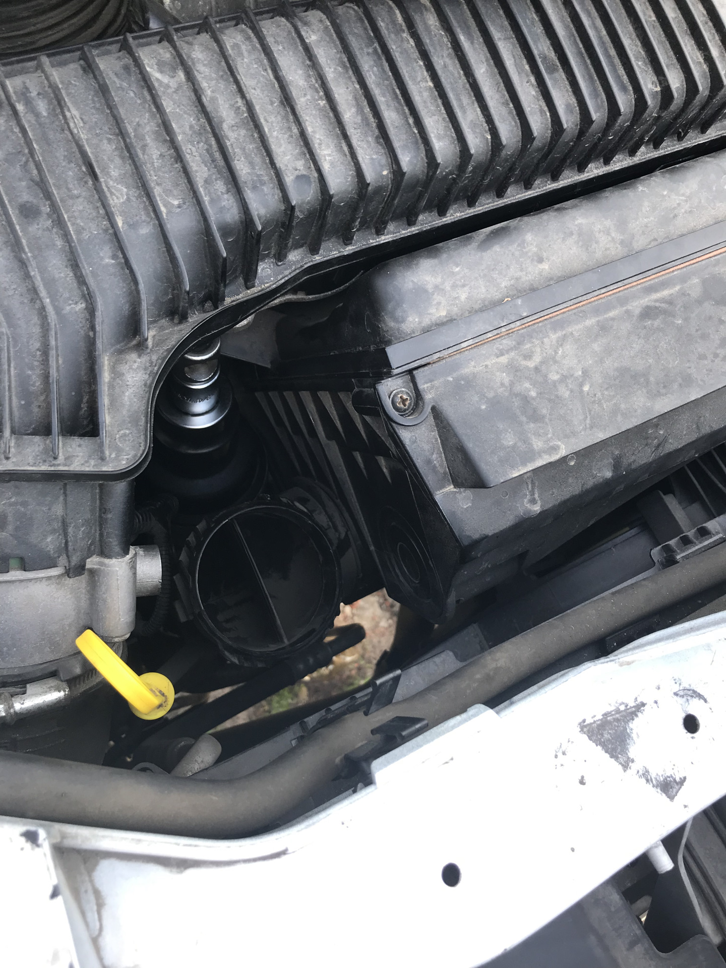 Тюнинг меня))) — Citroen C3 Picasso, 1,4 л, 2010 года | фотография | DRIVE2