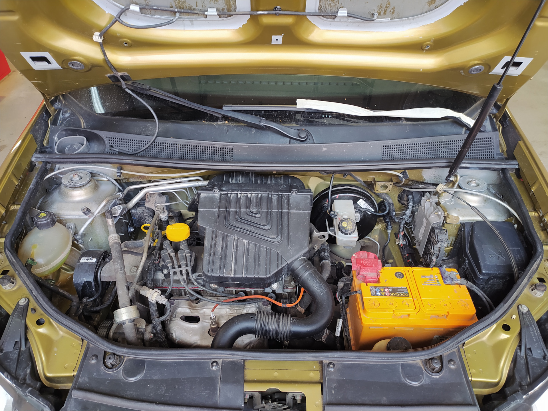 Антикор капота и стаканов на Рено Сандеро Степвей — Renault Sandero ...